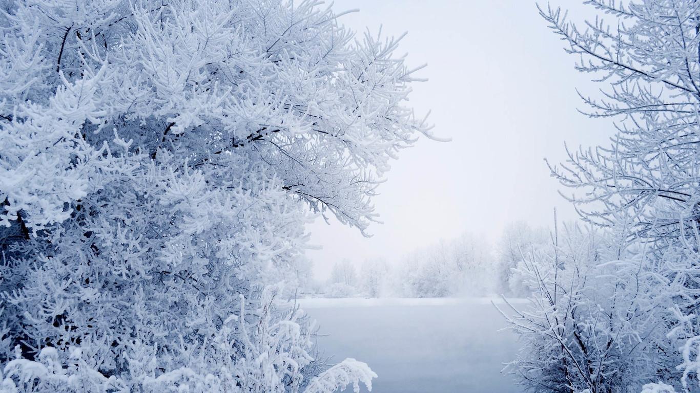 R语言分类之条件推理树（ctree） - 知乎