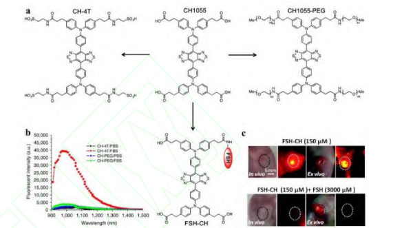 近红外II区小分子荧光染料—CH1055/AIE型NIR-II荧光染料小分子 - 知乎
