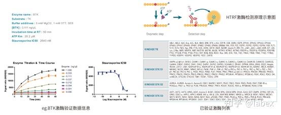 浅谈均相时间分辨荧光-HTRF技术 - 知乎