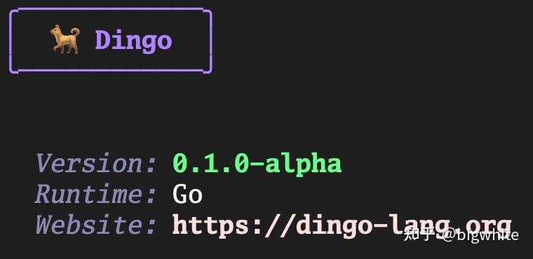 dingo：Go 语言的 “TypeScript”时刻？—— 一场由社区驱动的语言演进实验 - 知乎