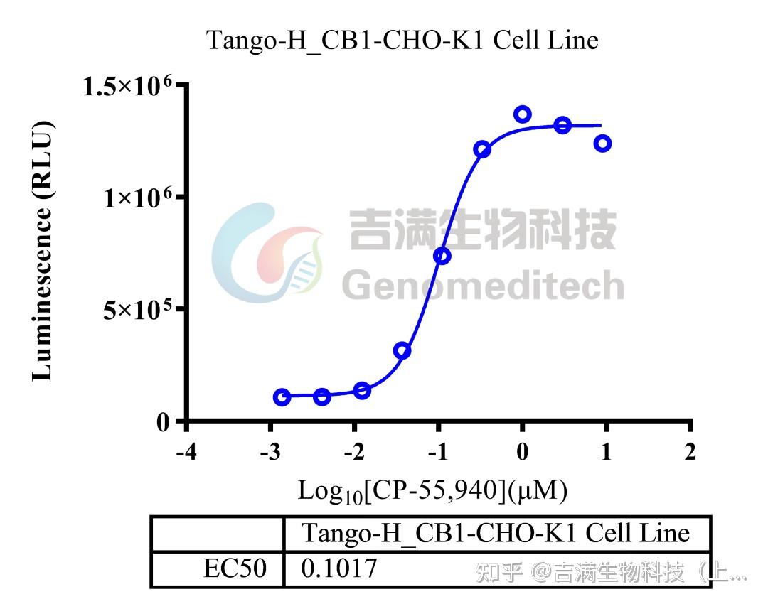 大麻素受体CNR1（CB1）：从机制突破到药物开发新机遇 - 知乎