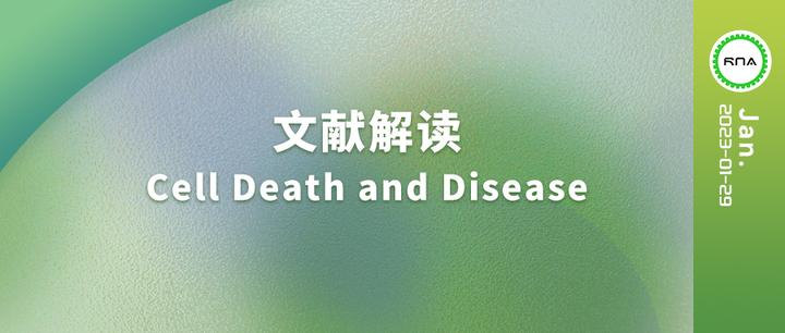 Cell Death Dis | circ_CEA抑制应激诱导的胃癌细胞凋亡的新机制 - 知乎