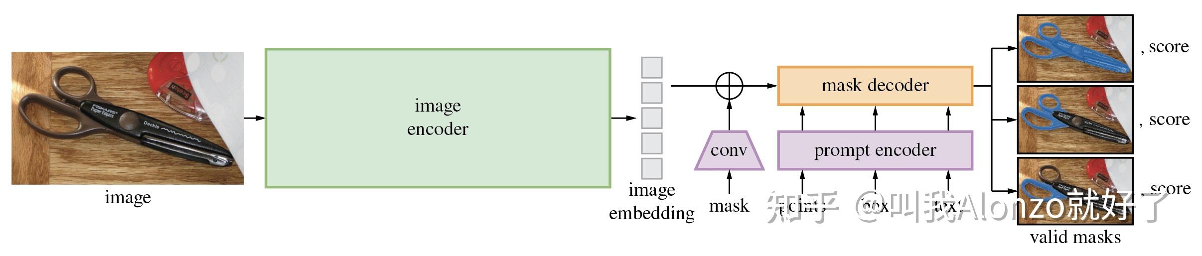 SAM怎么微调使得其适用于图像分类? - 知乎