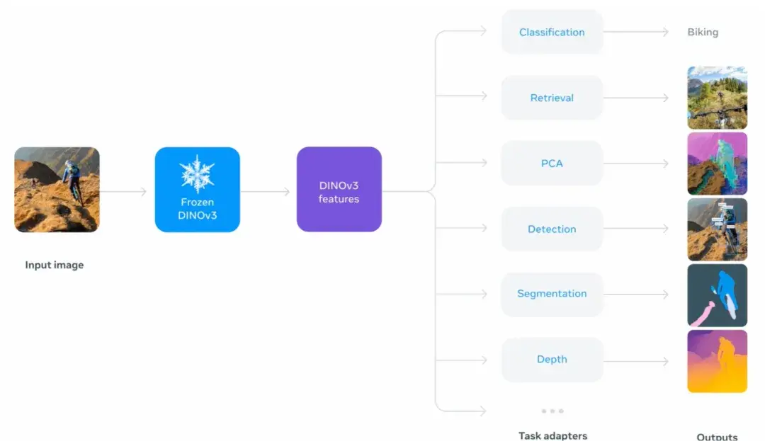 Meta视觉基座DINOv3王者归来：自监督首次全面超越弱监督，商用开源 - 知乎