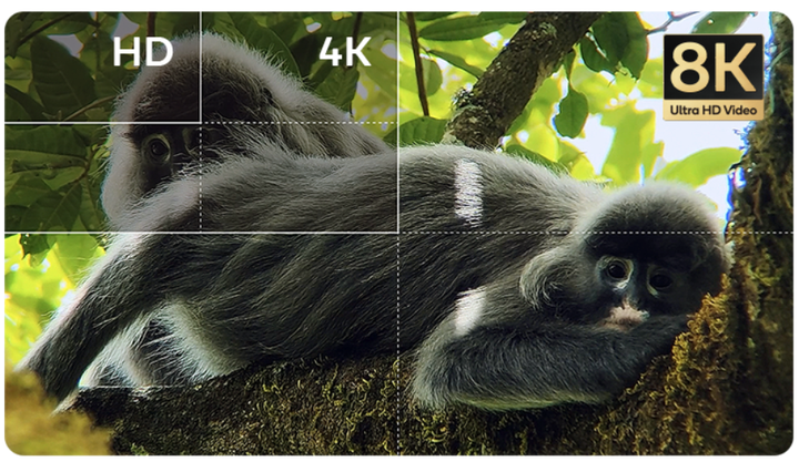 8K影像背后的力量： 每秒几十亿像素的图像处理能力 - 知乎