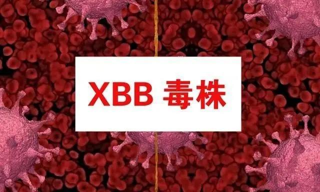 XBB、BQ.1接连检出 第二波感染来了吗 - 知乎
