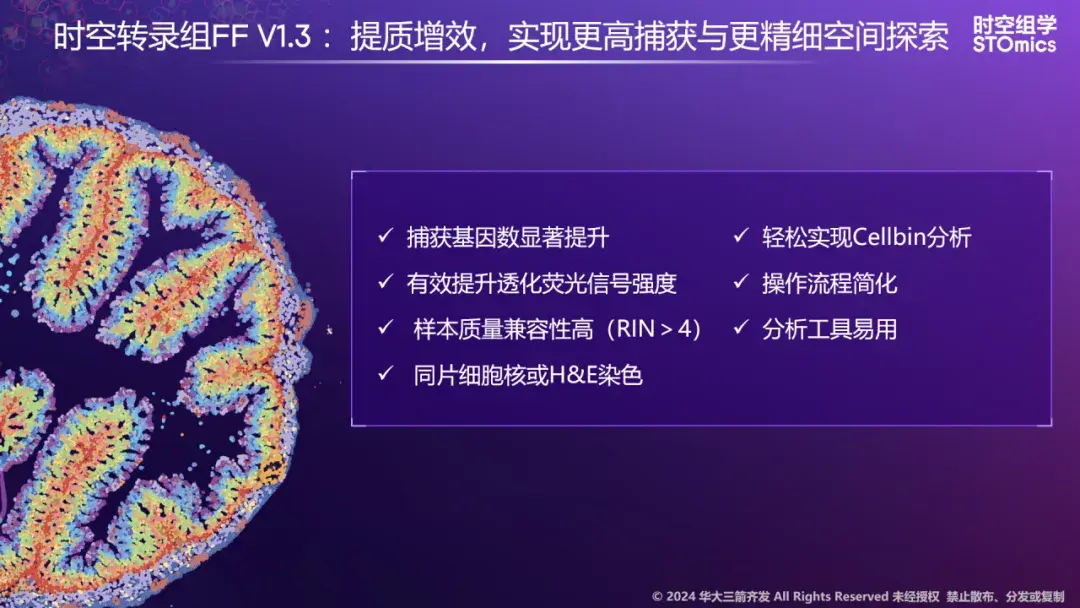 正式发布 | 时空转录组FF V1.3：提质增效，实现更高捕获与更精细空间探索 - 知乎