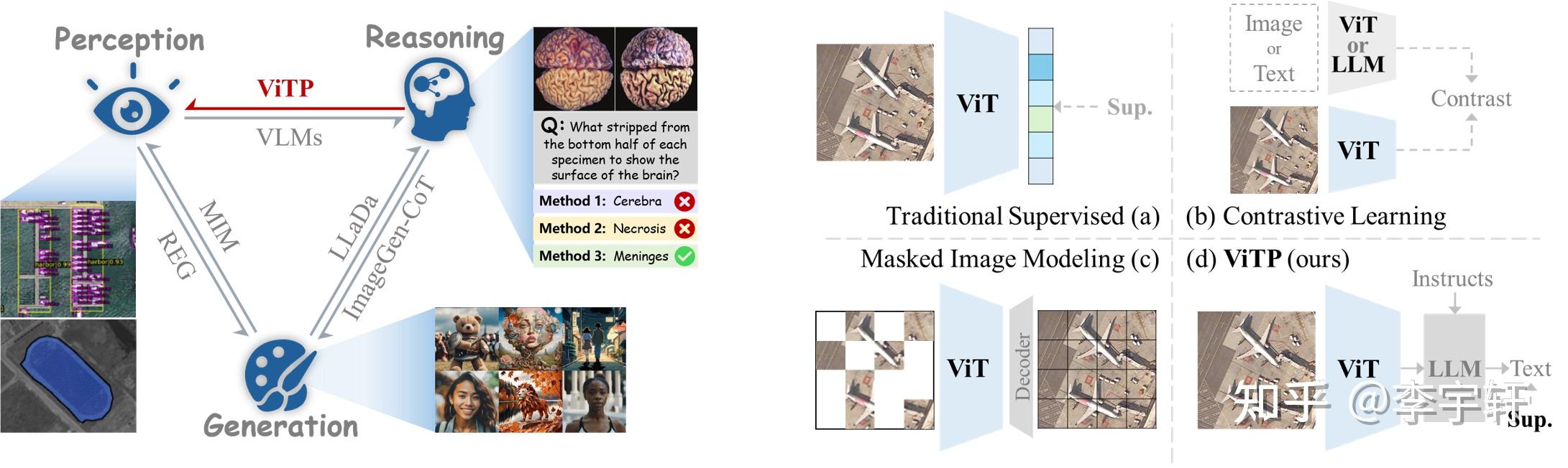 ViTP帮你补齐“感知理解生成”大循环最后一块拼图：“理解”反哺“感知” - 知乎