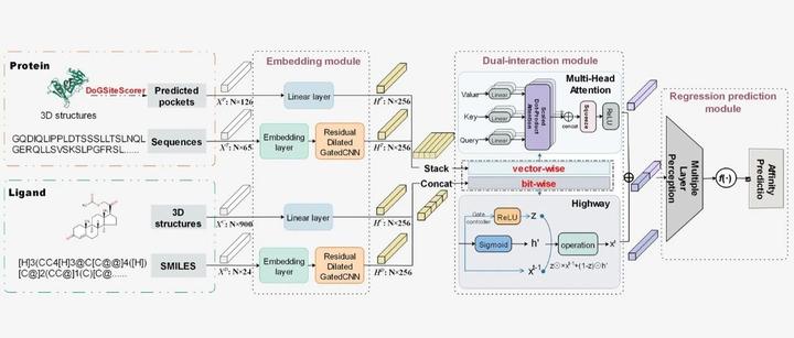 Bioinformatics｜DataDTA：用于药物靶点结合亲和力预测的多特征双重交互聚合框架 - 知乎