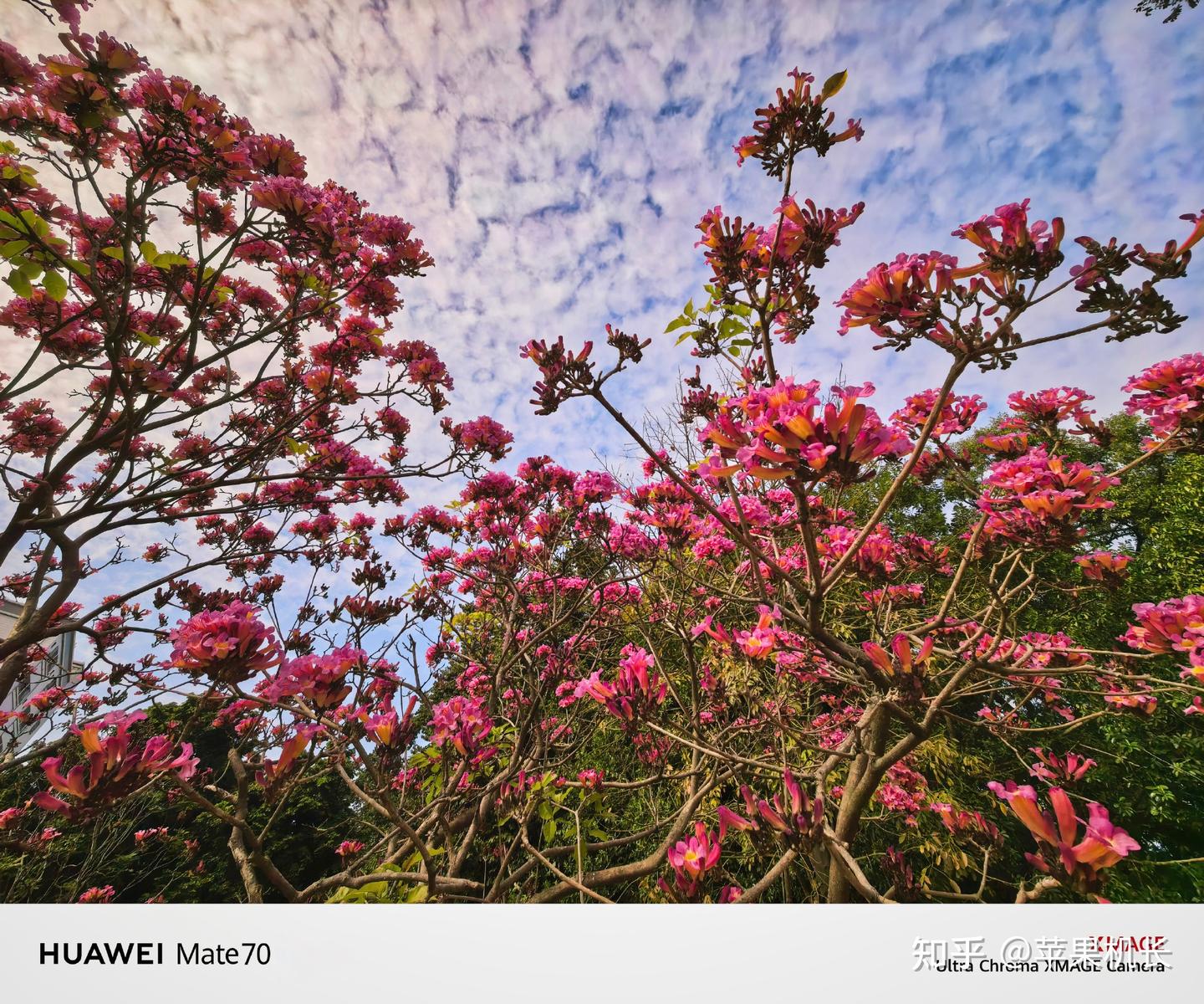 华为Mate70用了两个月，这些优缺点全出来了，现在还值得入手吗？ - 知乎