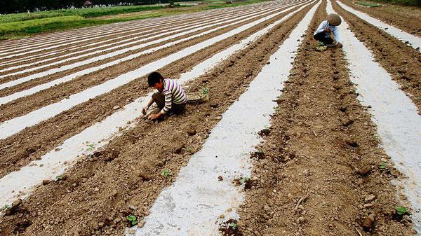 时隔40年，中国再次启动土壤普查意义重大 - 知乎