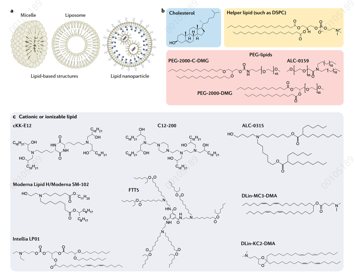 LNP成分及作用 - 知乎