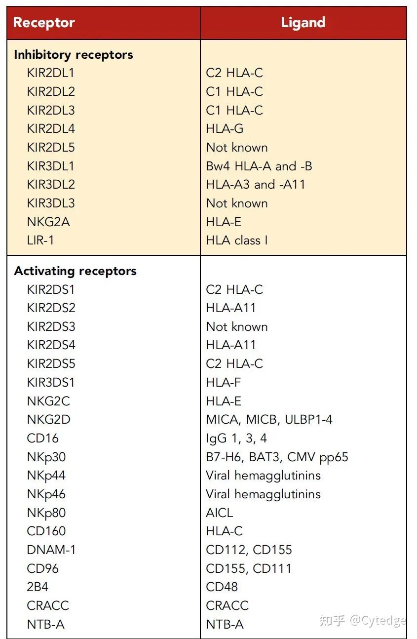 NK细胞的HLA和KIR的配型-上篇 - 知乎