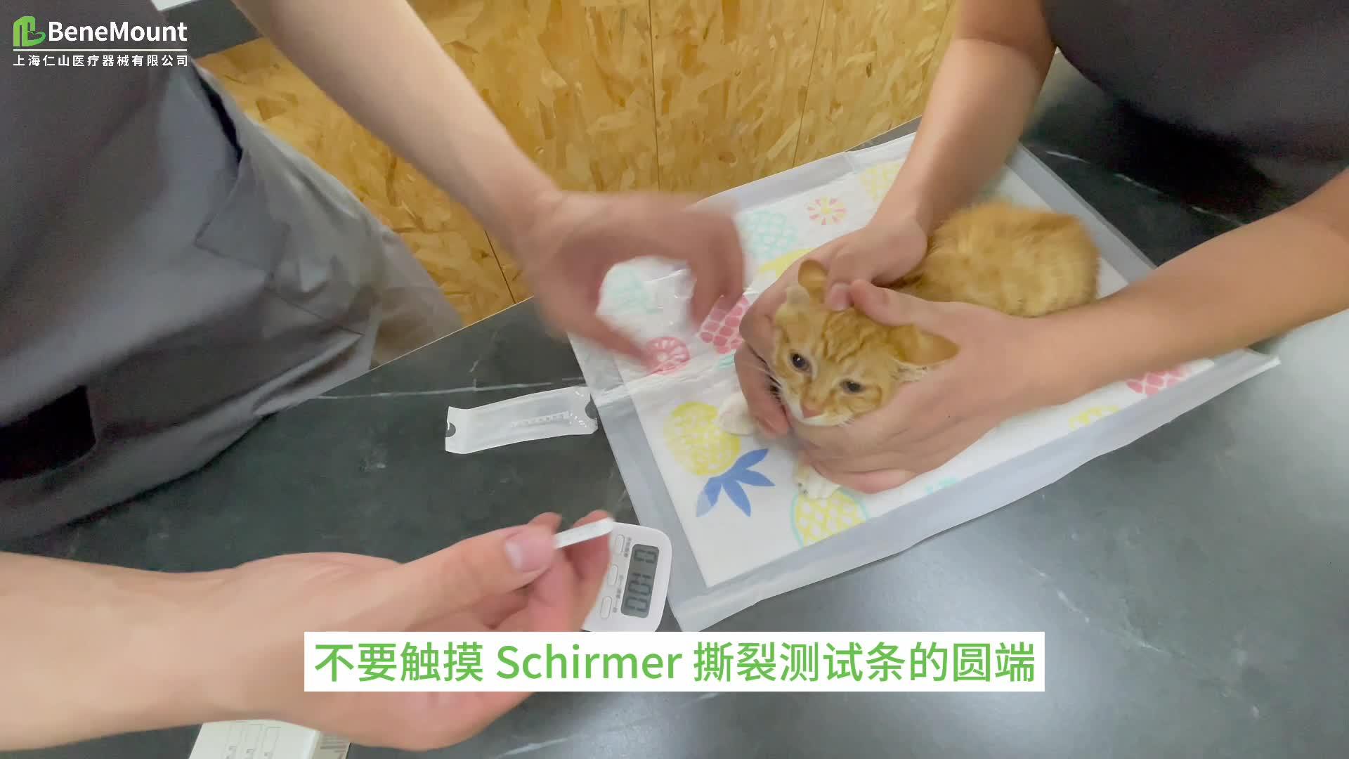 兽医眼科｜动物眼科Schirmer 泪液测试(STT)及数值判读 - 知乎