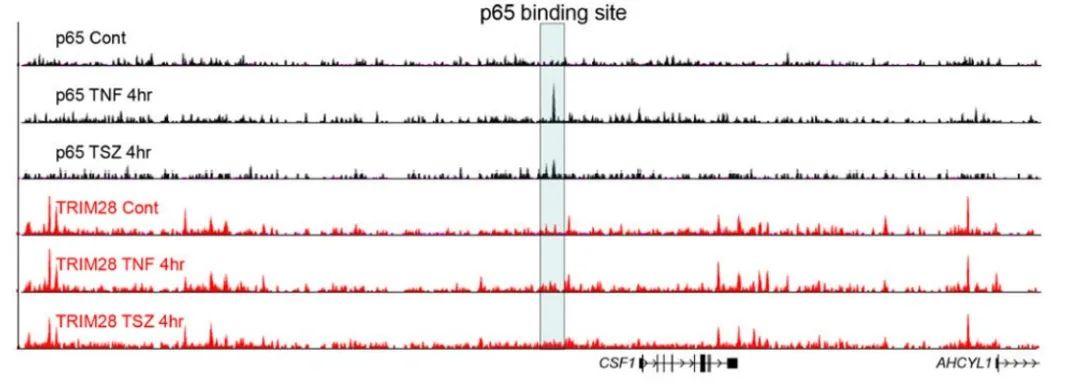 各种组学分析之：Chip-seq (一) - 知乎