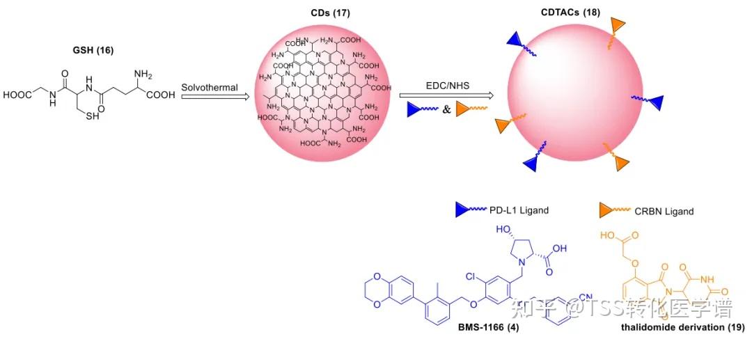 【JMC】免疫检查点PD-L1蛋白降解剂和调节剂研发现状 - 知乎