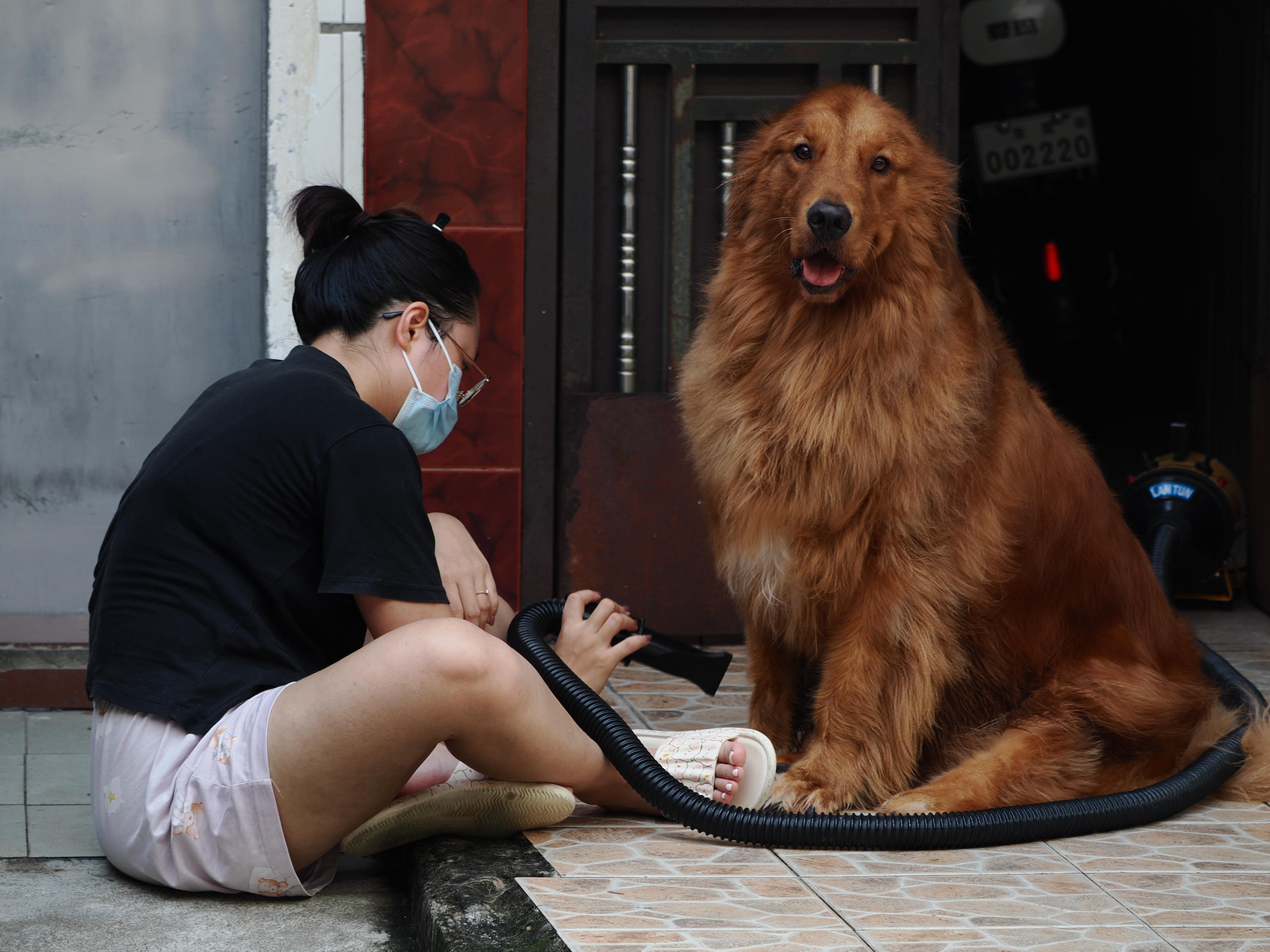 2023 m43打鸟如何选择? - 知乎