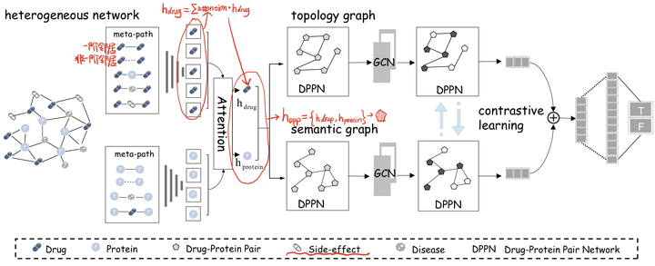 知识图谱-生物信息学-医学顶刊论文(Bioinformatics-2022)-SGCL-DTI：用于DTI预测的监督图协同对比学习 - 知乎