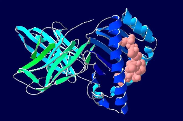 nanoDSF 微量差示扫描荧光法表征蛋白配体互作 - 知乎