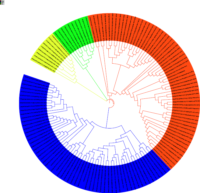 利用VCF文件构建系统发育树 - 知乎