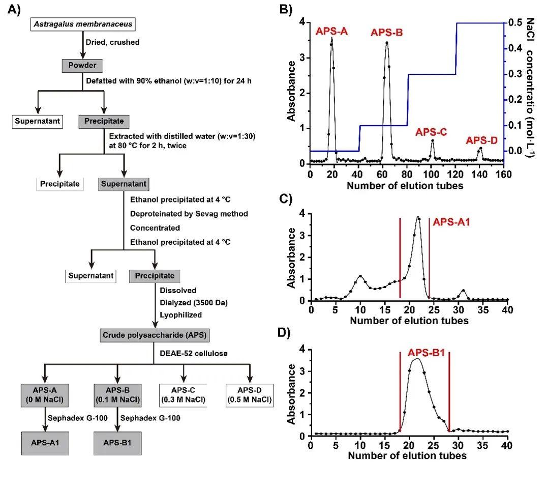 一作解读|IJBM：黄芪多糖的结构表征与抗炎活性 - 知乎