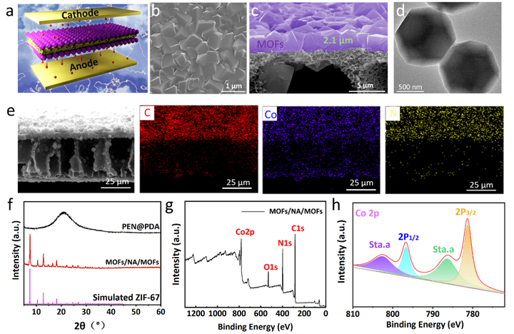 最新进展||电子科大刘孝波-贾坤团队 AFM：MOF原位功能化聚芳醚腈构建耐高温自阻燃锂电池隔膜 - 知乎