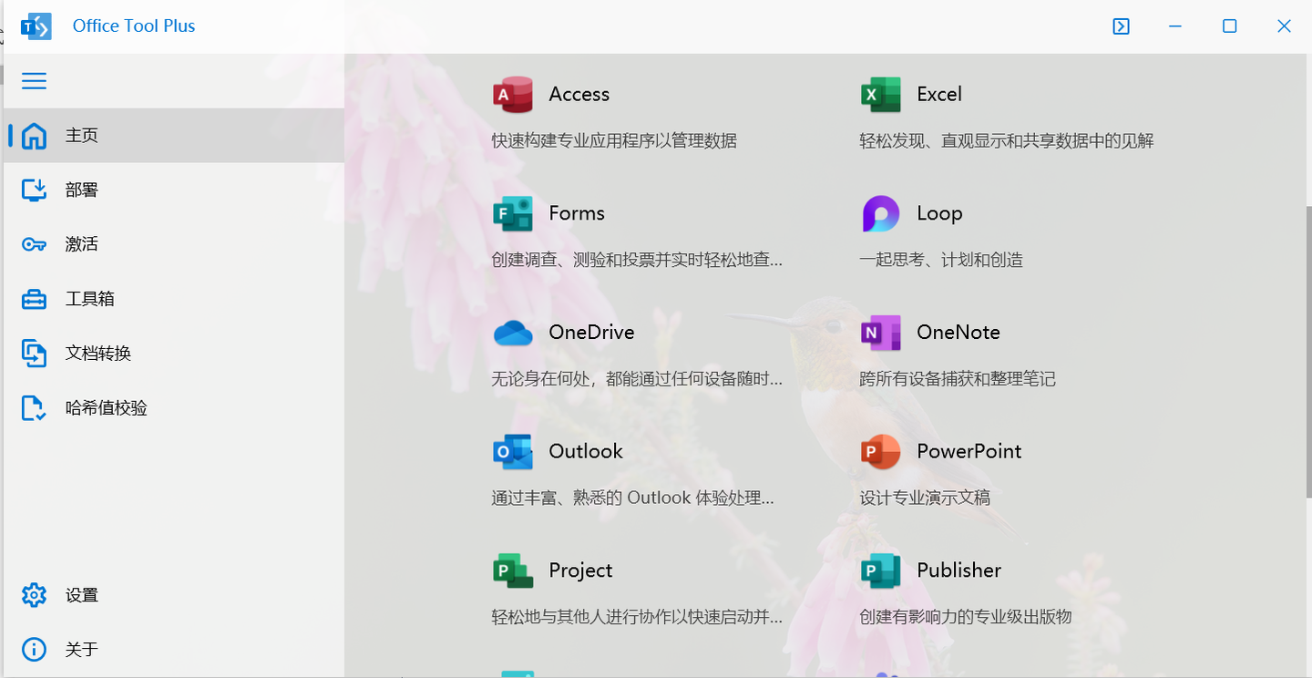 使用Office Tool Plus下载安装Microsoft 365 - 知乎