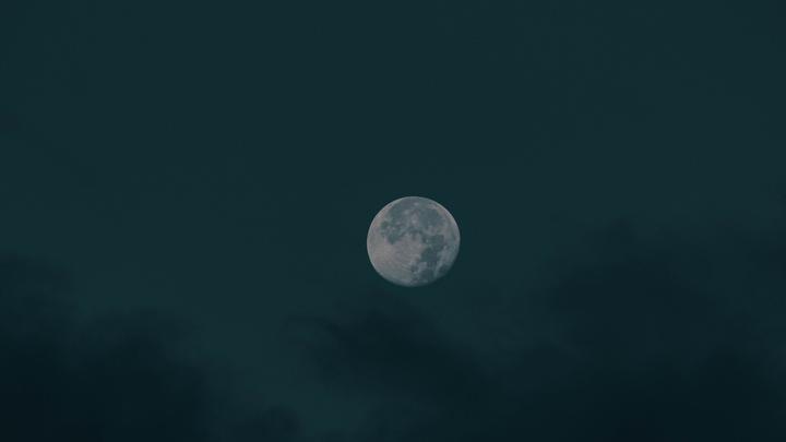 C 容器与算法 知乎