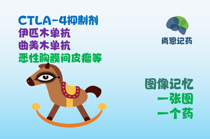 记住所有FDA生物药 | 免疫检查点CTLA-4抑制剂 | 伊匹木单抗、曲美木单抗 | 恶性胸膜间皮瘤等实体瘤 - 知乎