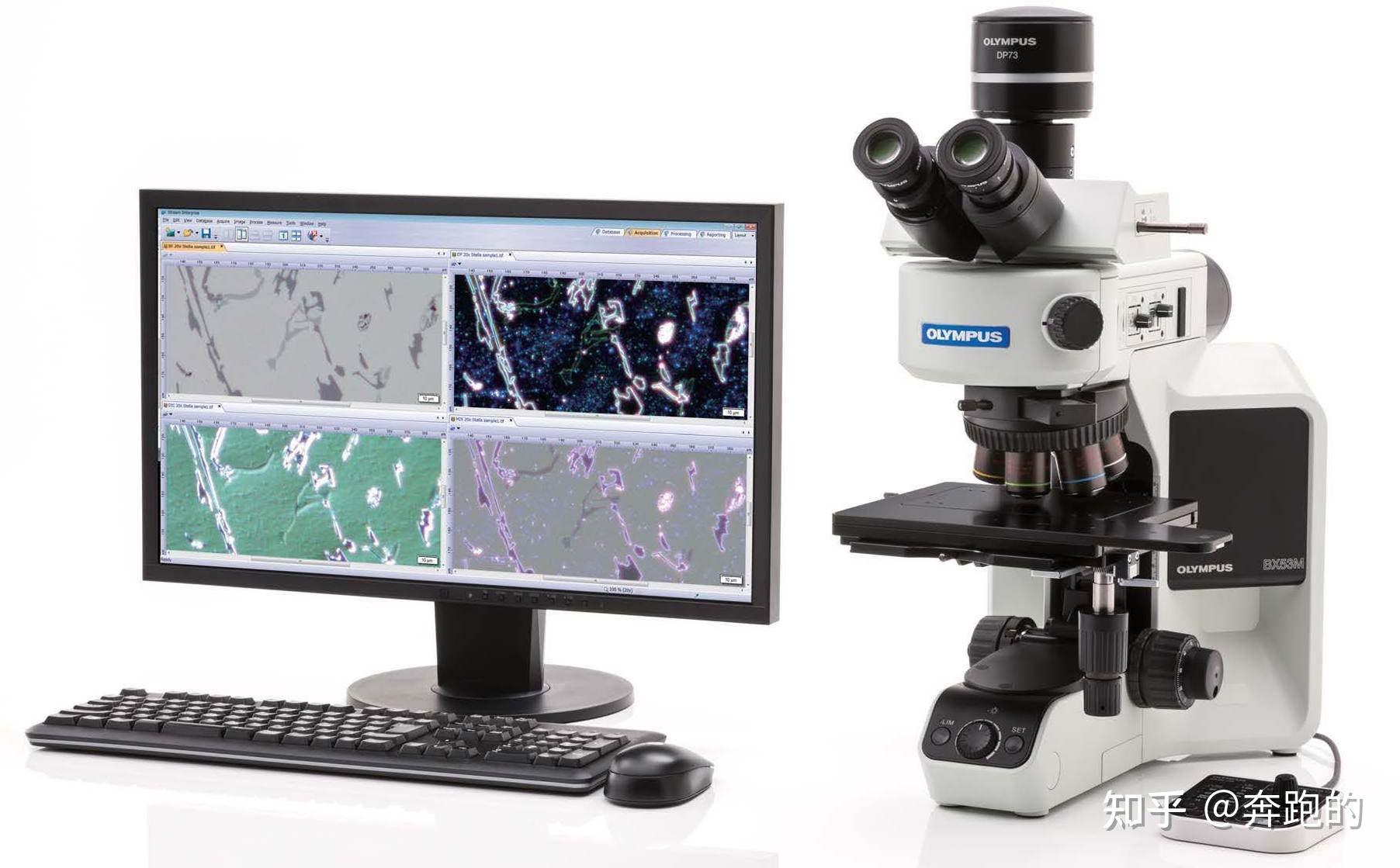 光学显微镜和电子显微镜的原理和应用分别是什么？ - 知乎
