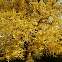 MySQL安装时出现端口异常，提示The specified port already in use - 知乎