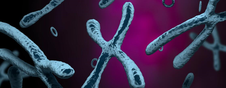 Nat Rev | 癌症中的染色体外DNA扩增 - 知乎