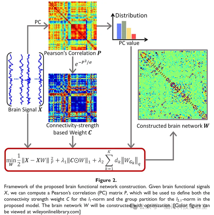 Hum Brain Mapp：基于连接强度加权稀疏群表示的脑网络构建新方法可用于轻度认知障碍分类 - 知乎