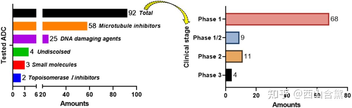前“撤”可鉴(四)-Immune-stimulating antibody conjugate (ISAC) - 知乎