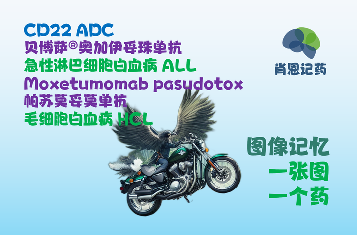 记住所有FDA生物药 | 靶向CD22 ADC | 贝博萨®奥加伊妥珠单抗、moxetumomab pasudotox - 知乎