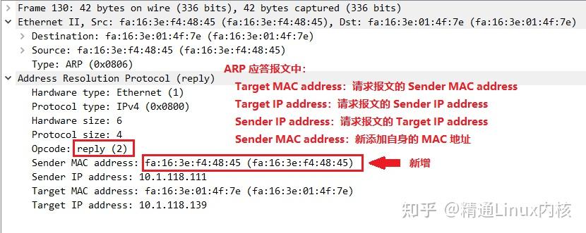 【网络协议】ARP（地址解析协议） - 知乎