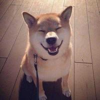 PCIe RDMA IB 以太网 RoCE 有什么区别和联系 - 知乎