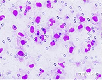 Figcheck 图片查重工具 - 知乎