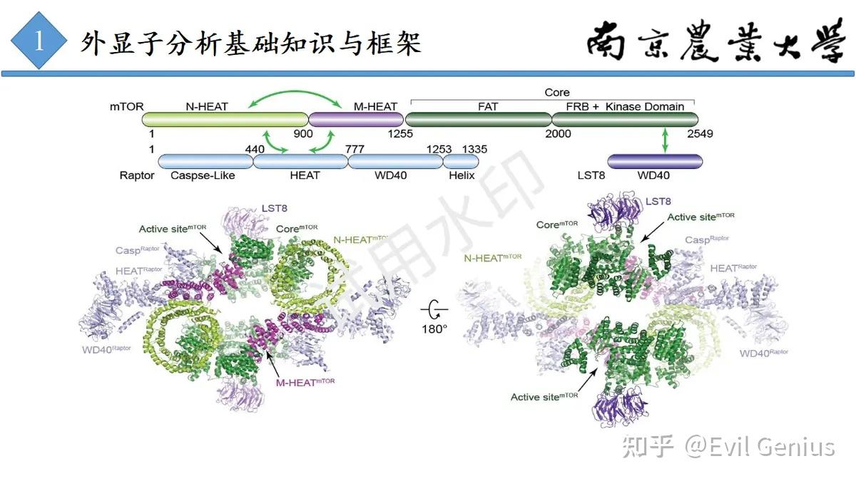 知识梳理--WGS/WES基础知识与框架 - 知乎