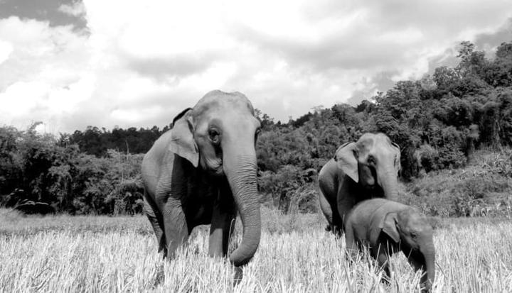 进阶数据库系列（十）：PostgreSQL 视图与触发器 - 知乎