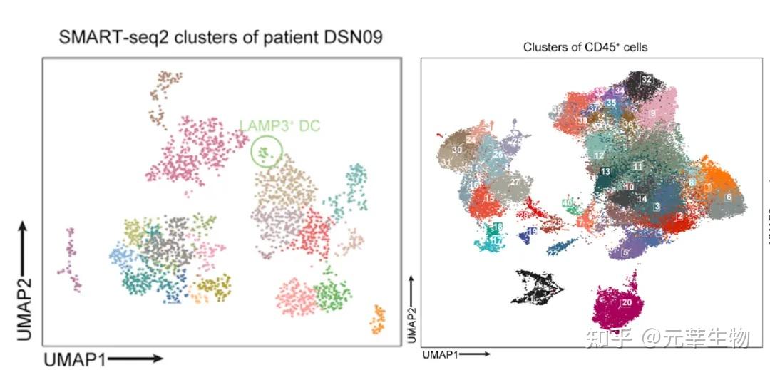 单细胞转录组系列——smart Seq2技术 知乎