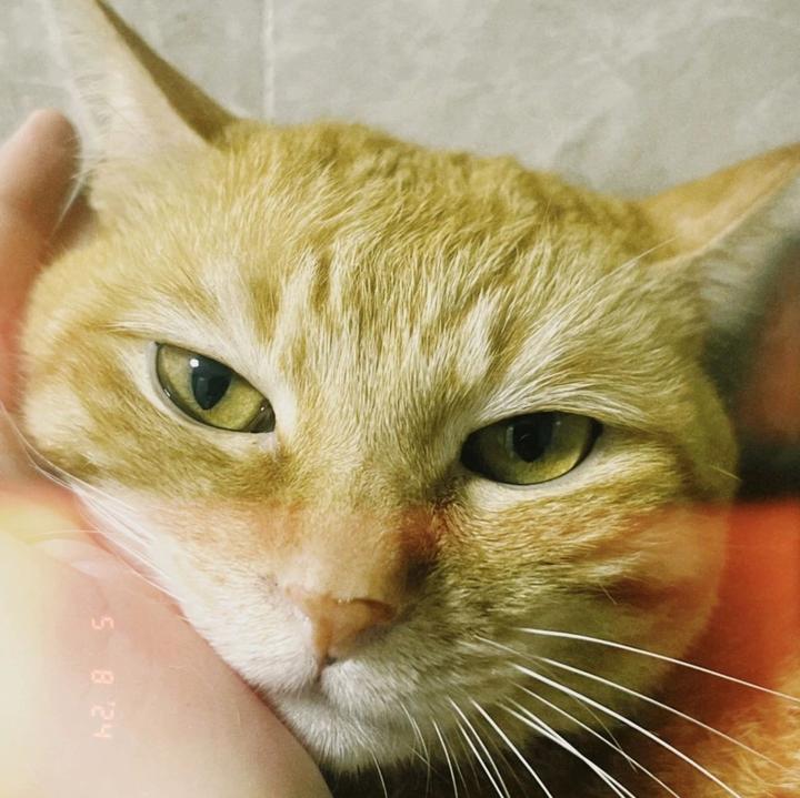 mysql-order by - 知乎