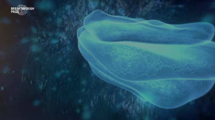 1575万美元！2023科学突破奖揭晓，AlphaFold、量子计算等突破斩获殊荣 - 知乎