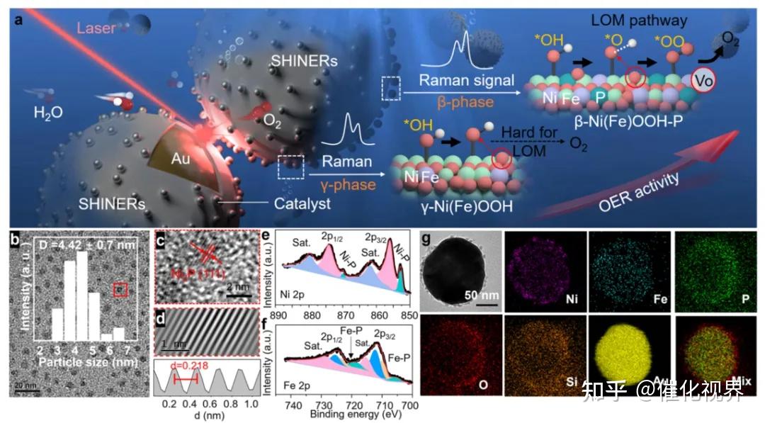 JACS：相工程调控O-O偶联机制提升OER！ - 知乎