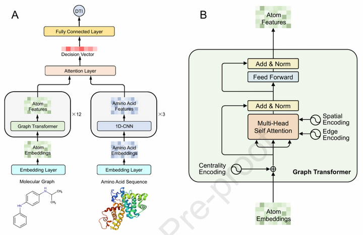 论文笔记34|GraphormerDTI A graph transformer-based approach for drug-target ...