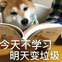 python机器学习模型pkl和pmml文件的保存加载使用 - 知乎