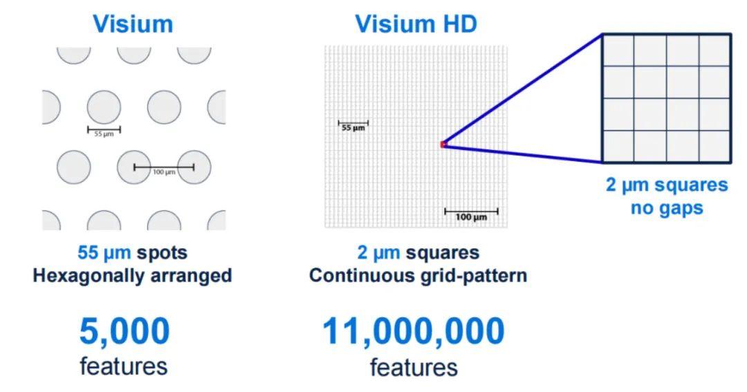 Visium HD震撼发布，引领单细胞分辨率时代的空间转录组革新！ - 知乎