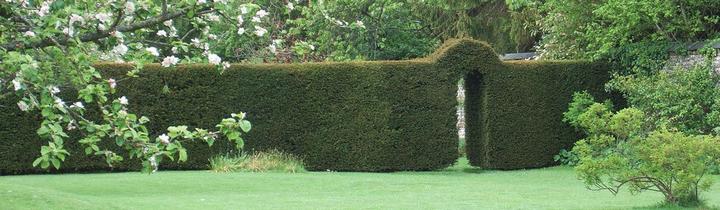 聊词： hedge - 知乎