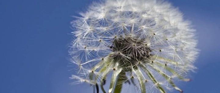 Fullter环境搭建 - 知乎