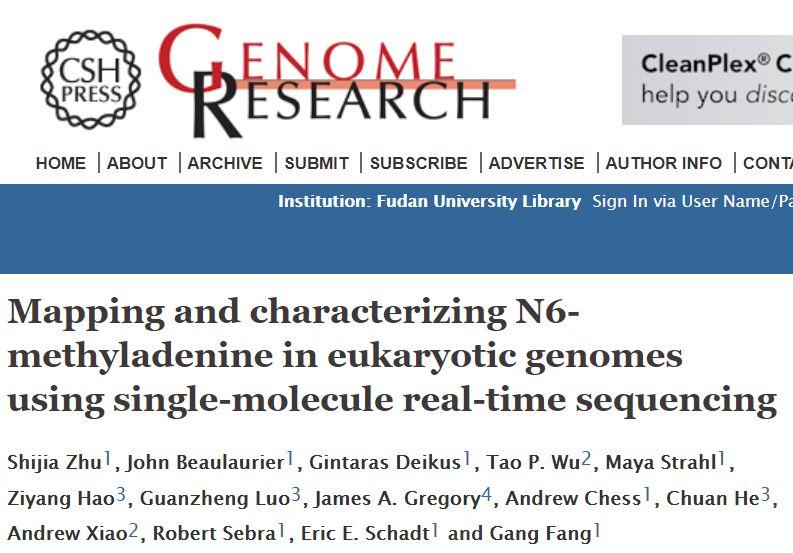 特别推荐丨单分子测序在真核生物DNA甲基化(6mA)检测中的机遇和挑战 - 知乎